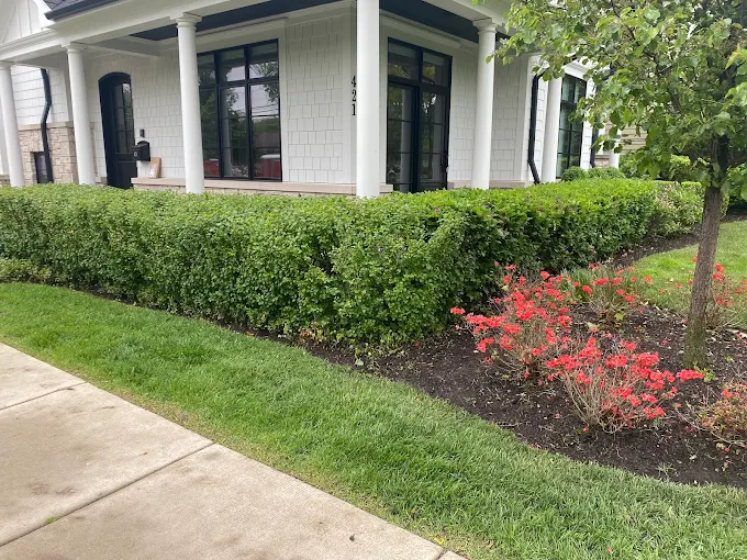 Trimming & Pruning by Tommy Pollina