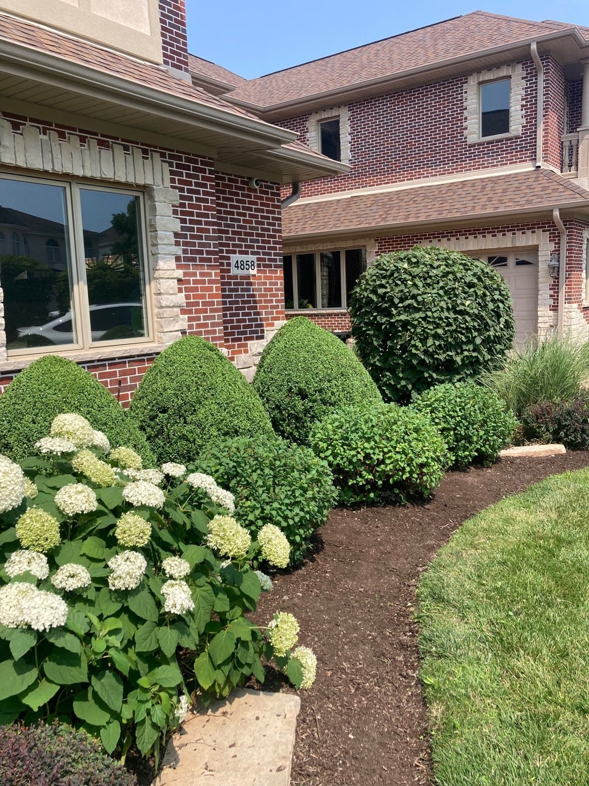 Trimming & Pruning by Tommy Pollina